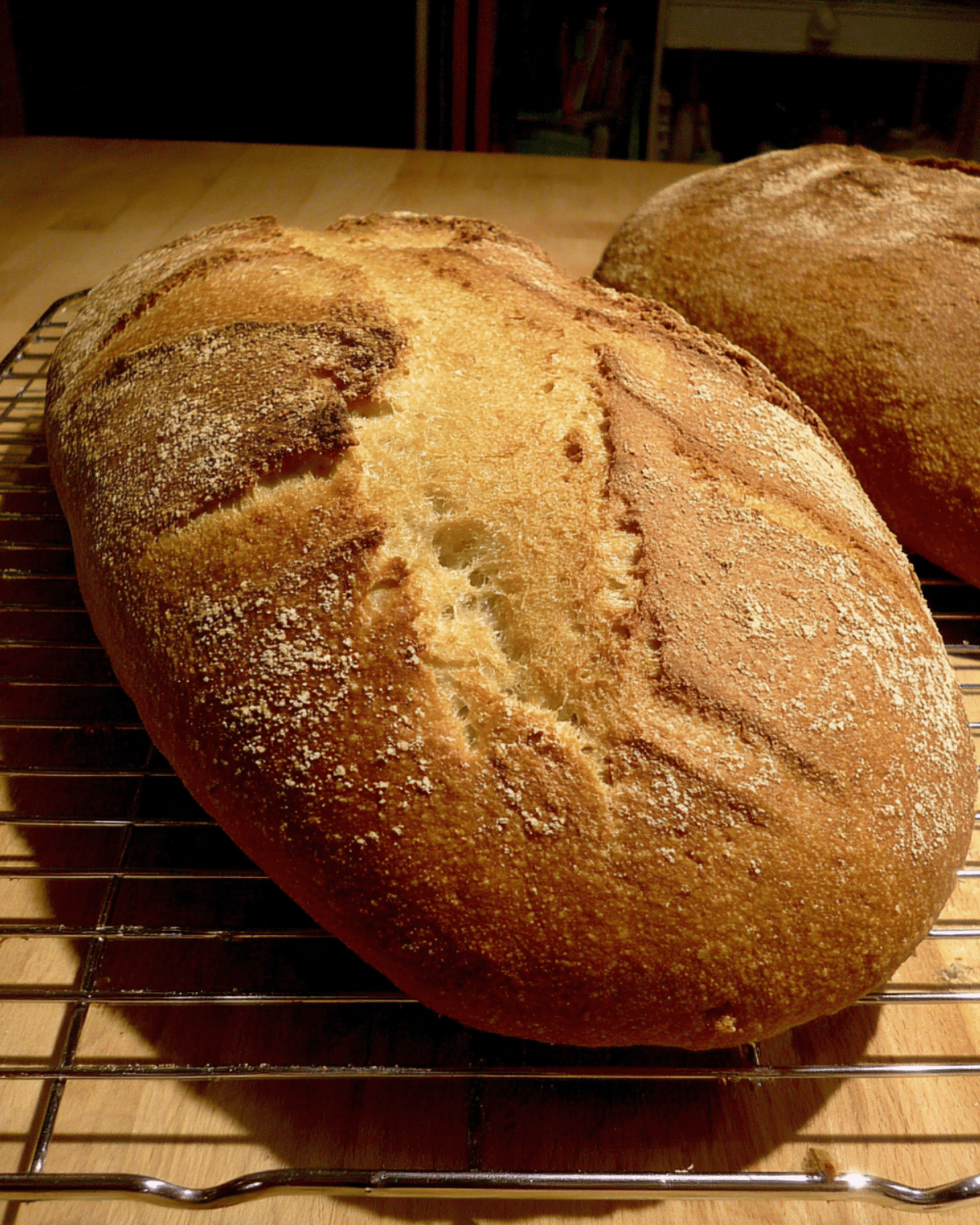 Crusty Batard Bread – The Best 1 Rustic Loaf Recipe